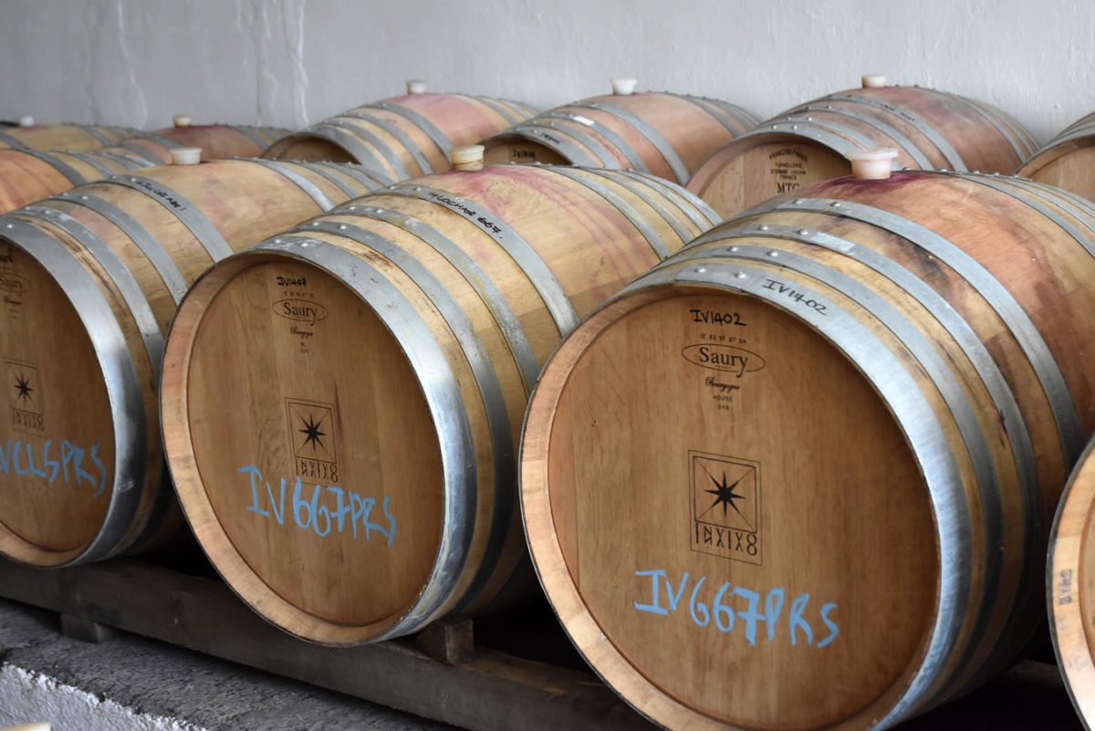 Winery – Invivo